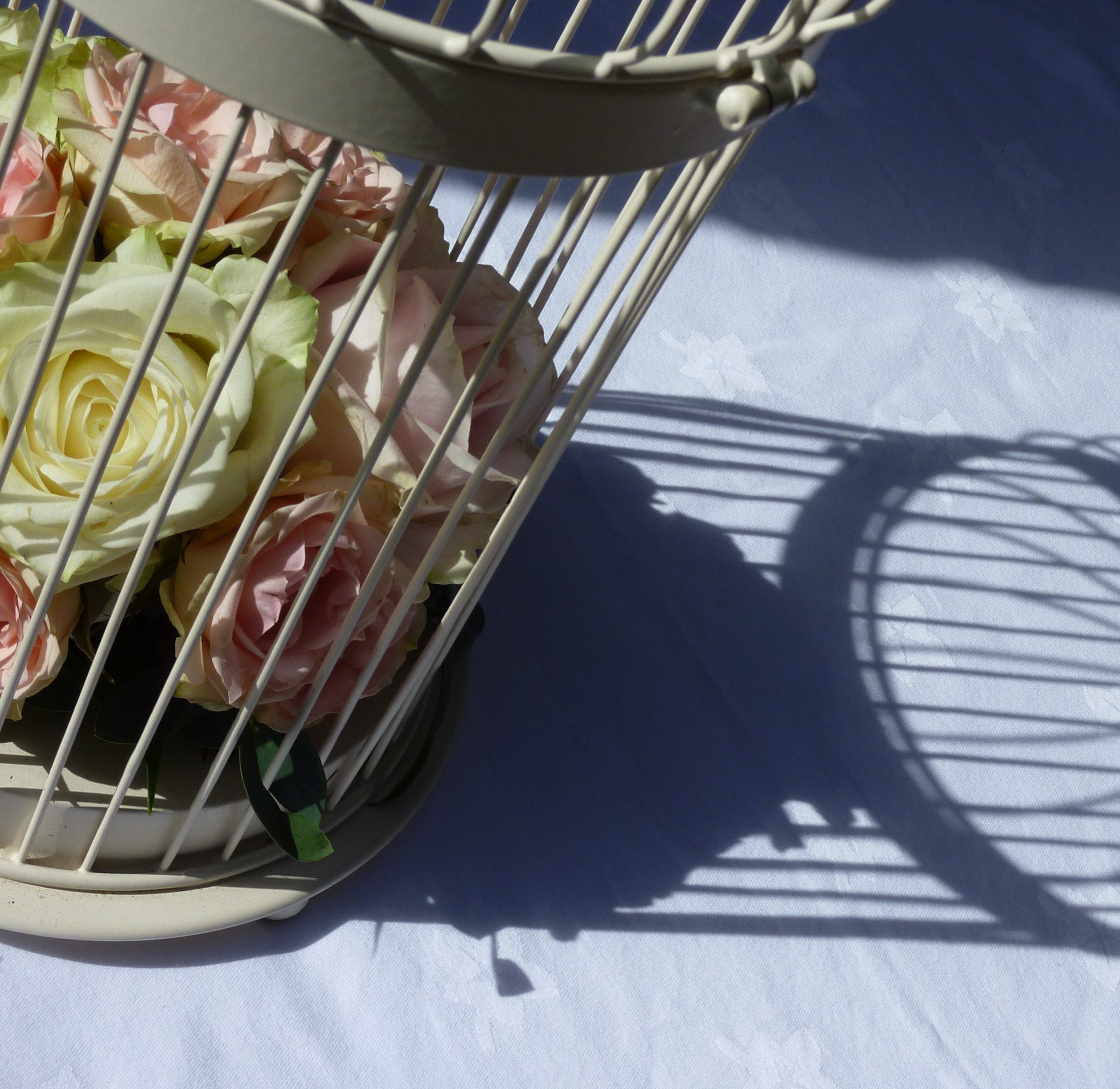 Gallery - Ashdown Events