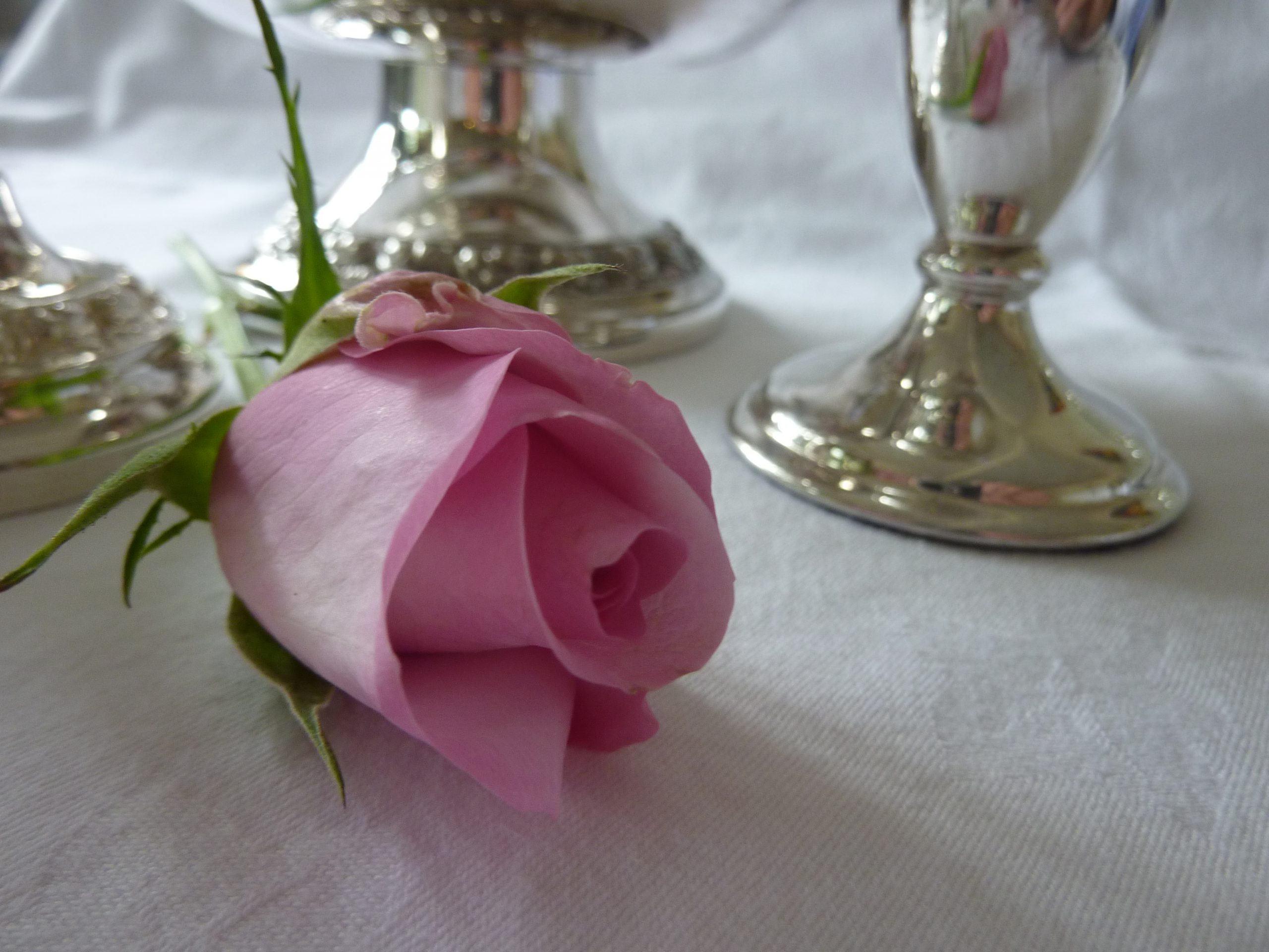 Gallery - Ashdown Events